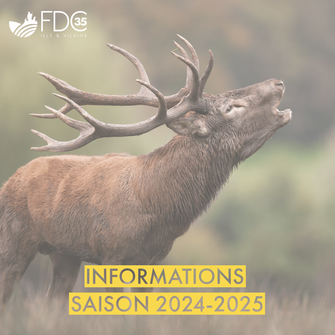 Informations saison 2024-2025 - FDC 35