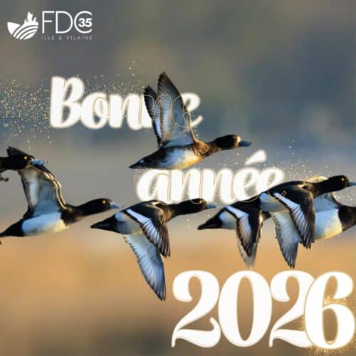 Bonne année 2026 - FDC 35